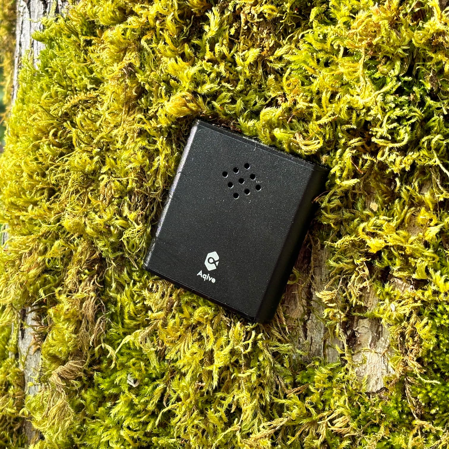 Aqive 氣機科技-撓氣源寶(一代)、撓定 Qi Ease（二代） 30日深度體驗心得-專屬折扣碼 DanTCM369 - DanTCM ...